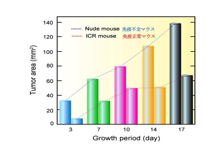 The reason why cancer is incurable | itookashi